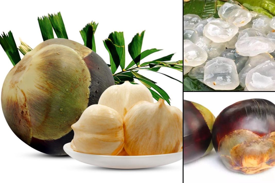 Ice Apple: Benefits Of Unique Summer Fruit - Learn Loft Blog